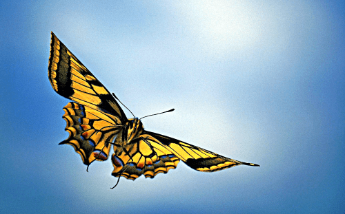 December 30, 2019 – Applied Unificationism